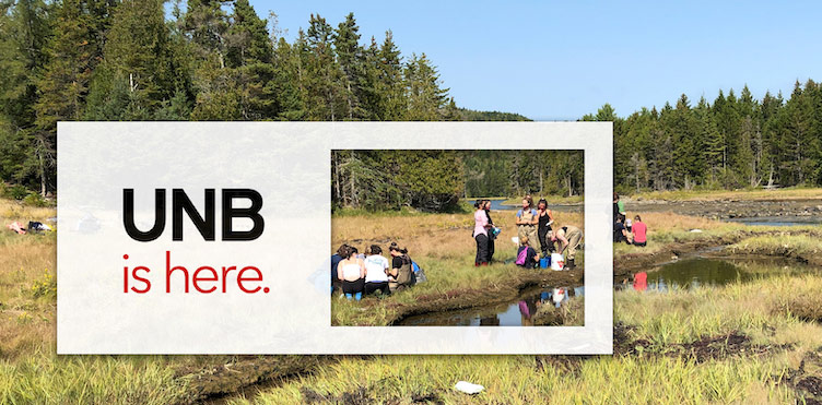 Dive deep into marine biology | UNB is here | UNB